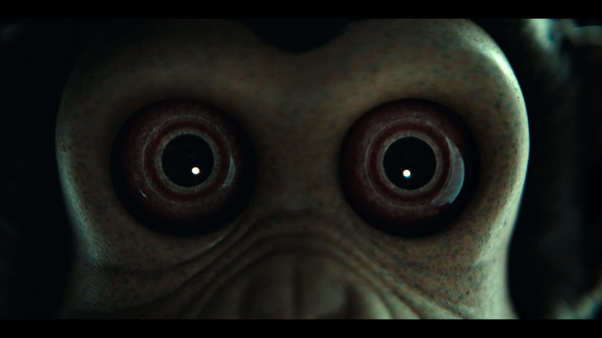 4K UHD Review – The Monkey – BRIAN ORNDORF